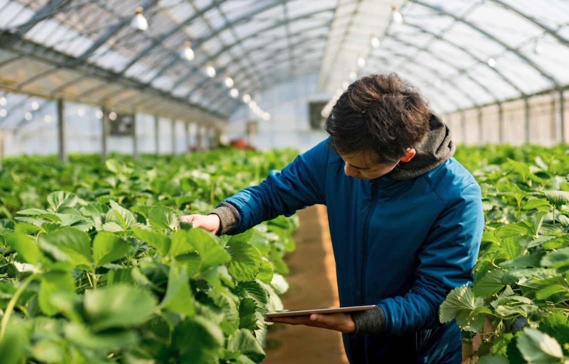 GuildHE Research and Knowledge Exchange Symposium | GuildHE